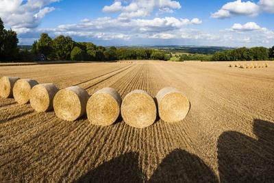 'Hay Bales in the Cotswolds, Longborough, Gloucestershire, England ...
