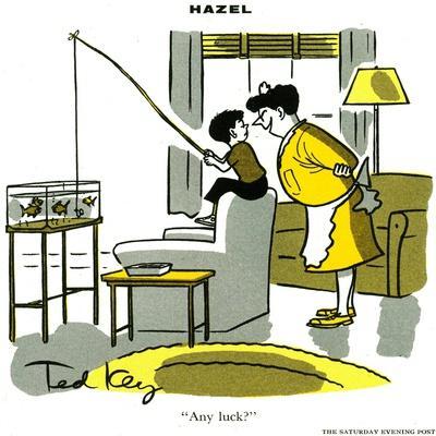 'Hazel Cartoon' Giclee Print - Ted Key | AllPosters.com