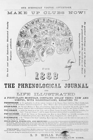 'Head from 1869 Phrenological Journal' Giclee Print | AllPosters.com