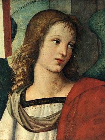 'Head of an Angel, C. 1500' Giclee Print - Raphael | AllPosters.com