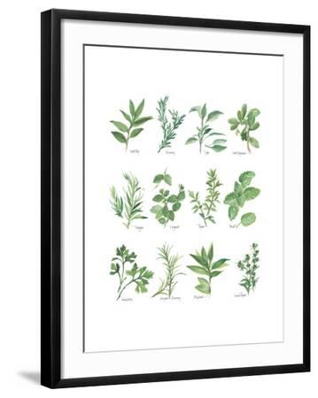 'Herb Chart' Posters - Chris Paschke | AllPosters.com
