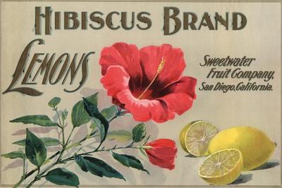 'Hibiscus Brand - San Diego, California - Citrus Crate Label' Posters ...