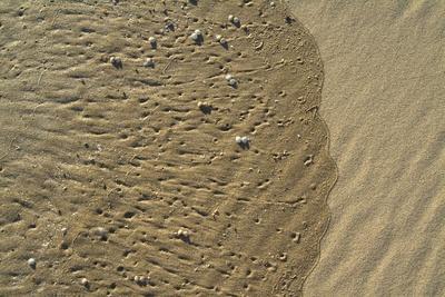 'High Tide Line with Receding Wave Leaving Small Shells and Patterns in ...