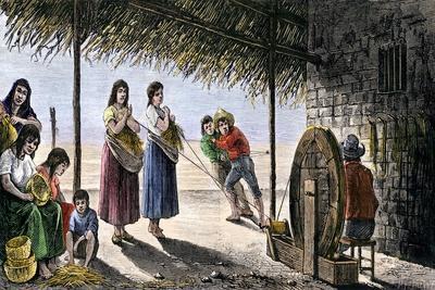 'History of Indigenous Peoples: Mission Indians Making Baskets and ...