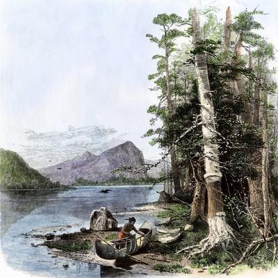 'History of Indigenous Peoples: Native American Indian Building a Birch ...
