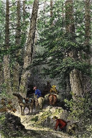 'History of the West Conquete Settlers: American Pioneers. Pioneers ...