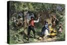 History of the West Conquete Settlers: American Pioneers. Settlers ...