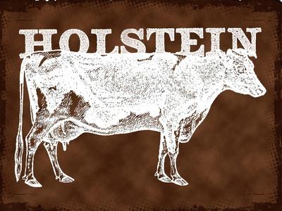 'Holstein Cow' Giclee Print | AllPosters.com