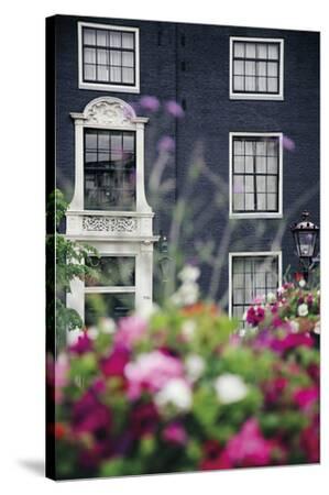 'Homely Habitat' Stretched Canvas Print - Irene Suchocki | AllPosters.com