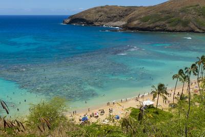 'Honolulu, Hawaii, Oahu. Reef at Hanauma Bay coral from above ...