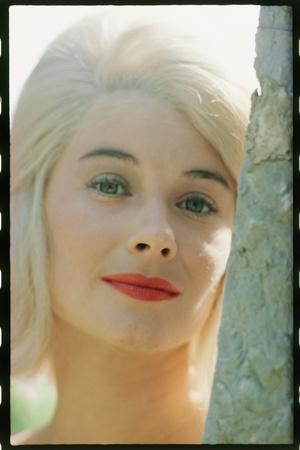 'Hope Lange close Up, 1962 (Photo)' Giclee Print - Orlando Suero ...