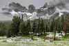 'Horses Grazing in the Meadow Blanketed in Summer Snow, Dolomites, Alto ...