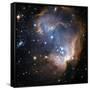 Starbirth Region NGC 602 Photographic Print - Hubble Heritage ...