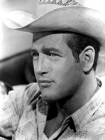 'HUD, Paul Newman, 1963' Photo | AllPosters.com