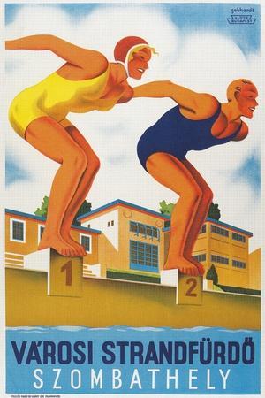 'Hungarian Swim Meet Poster' Posters | AllPosters.com