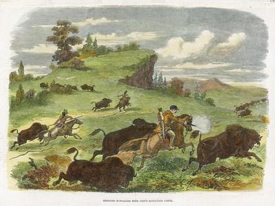 'Hunting Buffalo with a Colt Revolver in North America' Prints ...