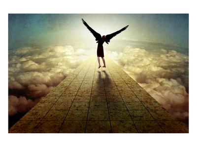 I Can Fly ... Art | AllPosters.com