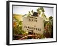 'Vineyards' Photographic Print - Ian Shive | AllPosters.com