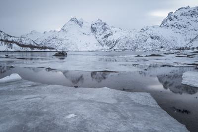 'Icy Fjord at the Lofoten in Norway with Reflection and Ice Floes ...