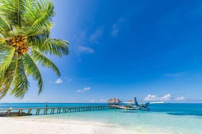 'Idyllic tropical beach landscape for background or wallpaper. Design ...