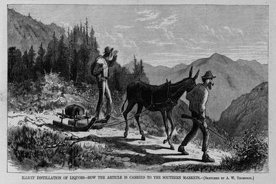Illicit Distillation of Liquors - How the Article is Carried to the ...