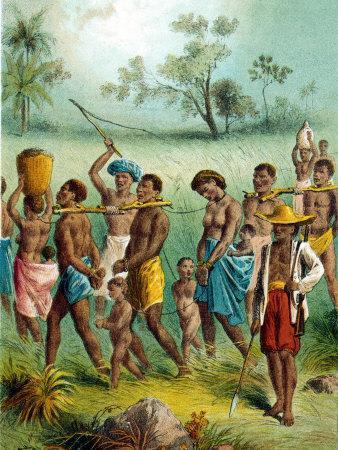'Illustration of Captive African Natives Being Led to the Coast to Be ...