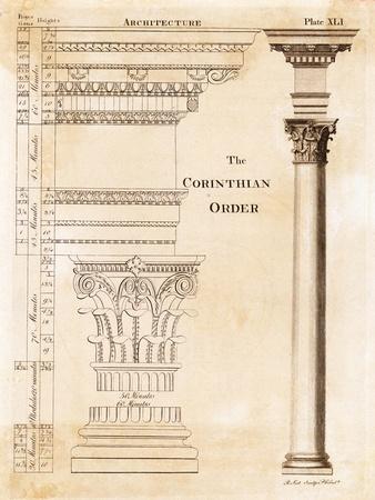 Illustration of Corinthian Columns Giclee Print | AllPosters.com