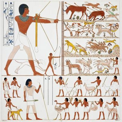 'Illustration of Egyptian Frescoes of Hunting Scenes by Frederic ...