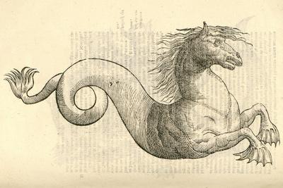 'Illustration of "Equus Marinus Monstrosus" from Aldrovandi's 'History ...