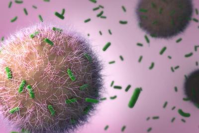 'Immune cells attacking tuberculosis bacteria.' Prints - Stocktrek ...