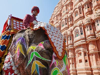 'India, Rajasthan, Jaipur, Ceremonial Decorated Elephant Outside the ...