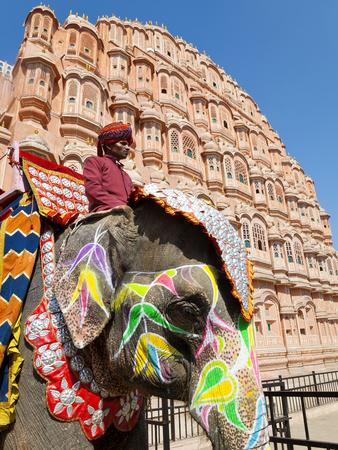 'India, Rajasthan, Jaipur, Ceremonial Decorated Elephant Outside the ...