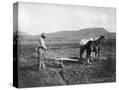 'Indian Plowing His Land, Sacaton Indian Reservation, Arizona, C.1909 ...