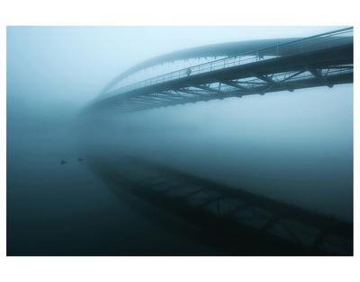 'Indifference' Posters | AllPosters.com