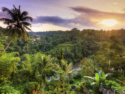 'Indonesia, Bali, Ubud, Sayan Valley and Ayung River' Photographic ...