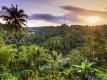 'Indonesia, Bali, Ubud, Sayan Valley and Ayung River' Photographic ...