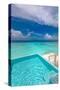 'Infinity swimming pool with sea and ocean view on blue sky background ...