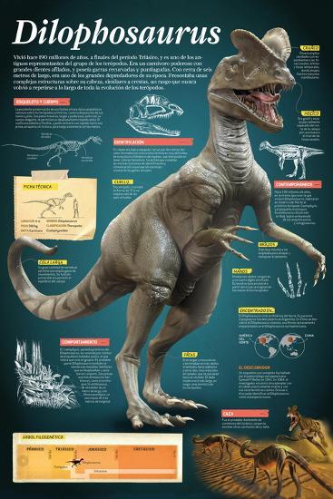 'Infografía Del Dilophosaurus, Un Carnívoro Que Vivió a Finales Del ... 'Infografía Del Dilophosaurus, Un Carnívoro Que Vivió a Finales Del ...