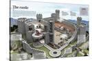 'Infographic About a Medieval Castle Where Kings, Nobles and Lords ...