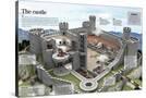 Infographic About a Medieval Castle Where Kings, Nobles and Lords ...