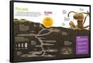 Infographic About Ants and their Social Organization in the Ant's Nest ...
