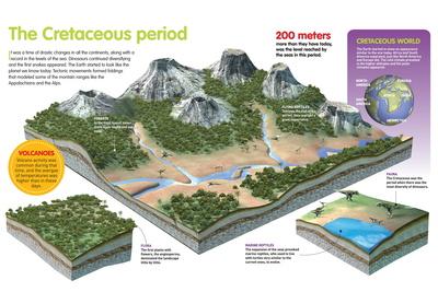 'Infographic About the Cretaceous Period, the Last Period of the ...