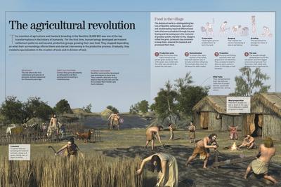 'Infographic About the Development Agricultural and Farming Techniques ...