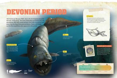 'Infographic About the Devonian Period of the Palaeozoic Era' Posters ...