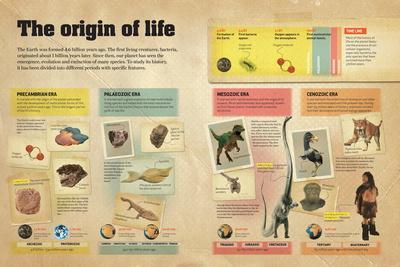 'Infographic About the Different Geological Eras in the Creation and ...