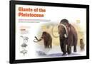 Infographic About the Megafauna That Appeared During the Pleistocene ...