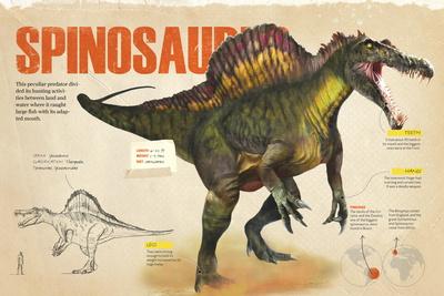 'Infographic About the Spinosaurus, a Carnivorous Dinosaur from the ...
