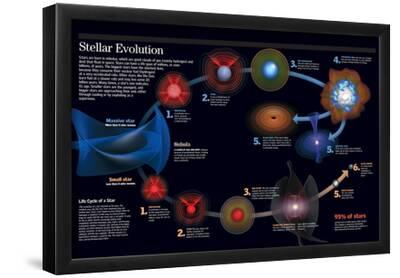'Infographic About the Stages of a Star Evolution, from its Origin to ...