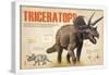 'Infographic About Thetriceratops, Dinosaur from the Cretaceous Period ...