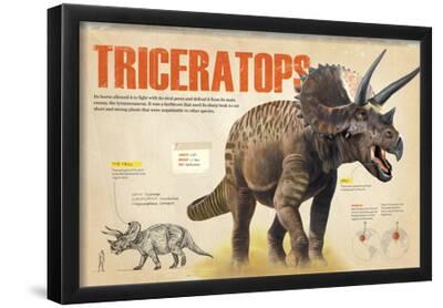 'Infographic About Thetriceratops, Dinosaur from the Cretaceous Period ...